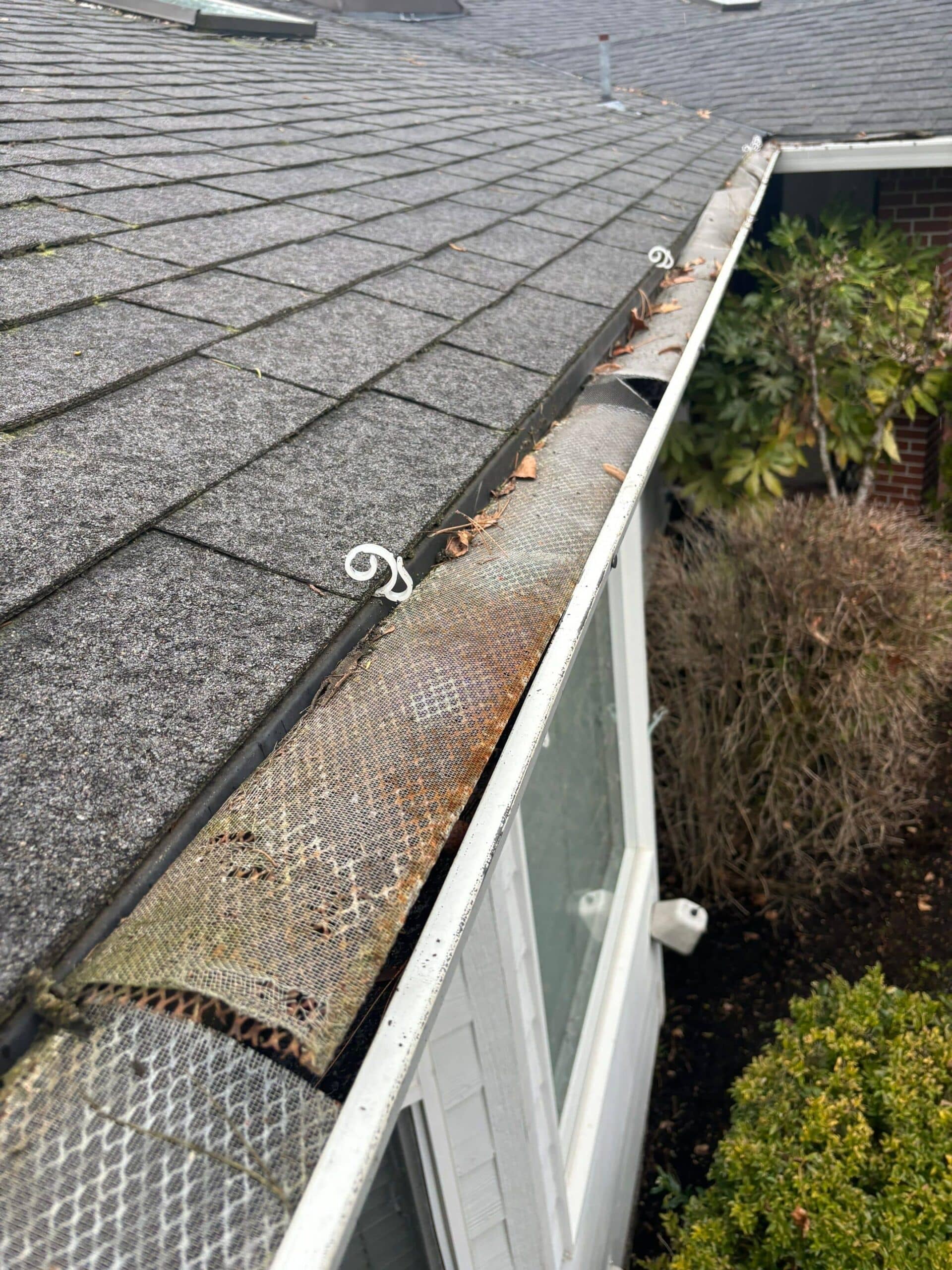 2024 Guide: How Much Is Gutter Cleaning? | IBEX Roof