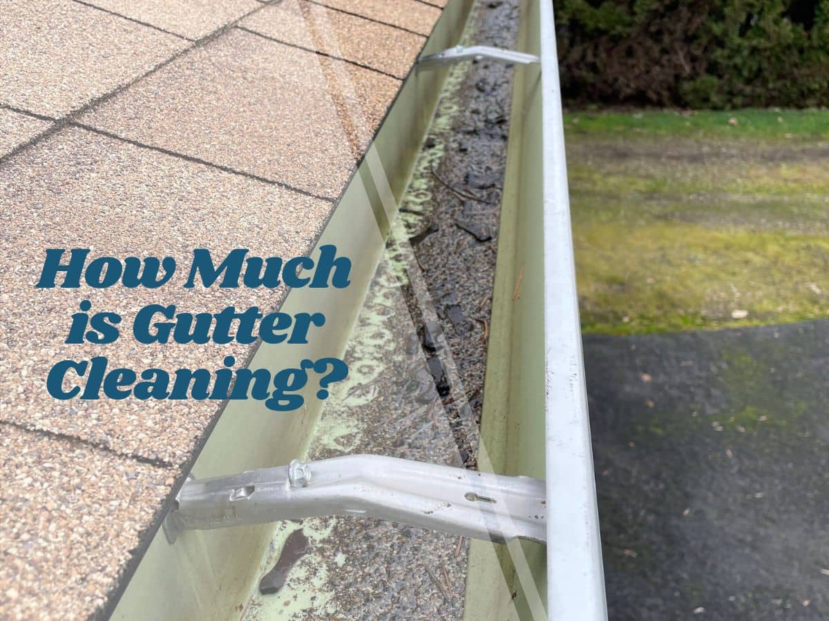2024 Guide: How Much Is Gutter Cleaning? | IBEX Roof