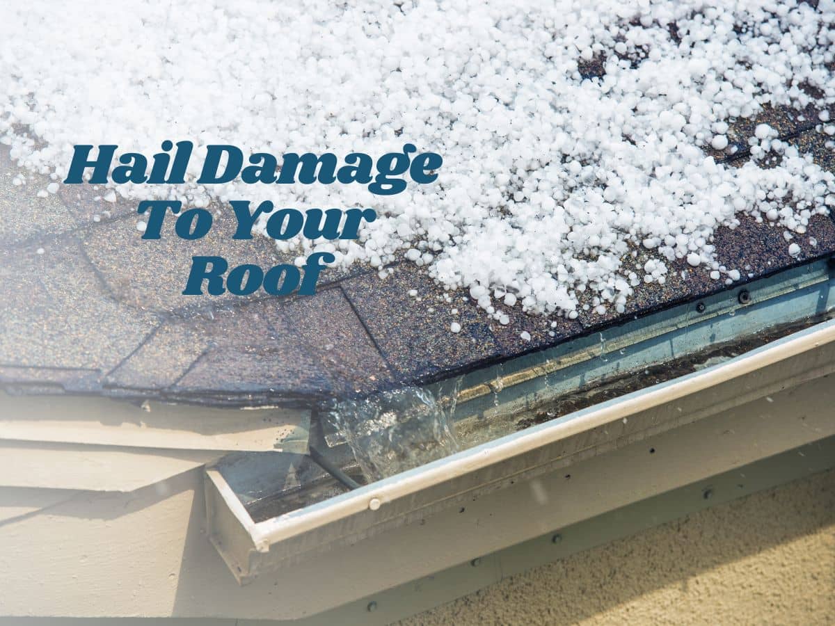 Hail Damage Roof | IBEX Roof