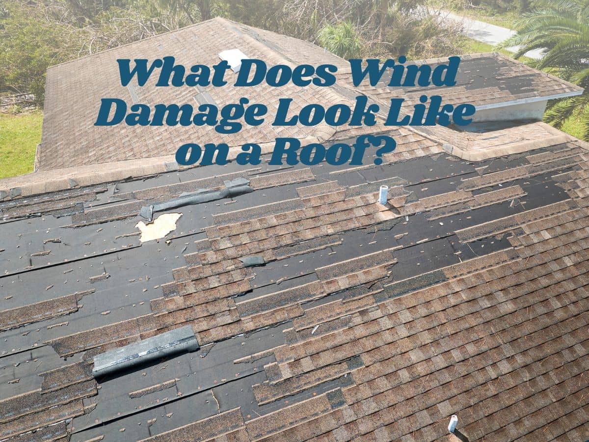 What Does Wind Damage Look Like on a Roof? | IBEX Roof
