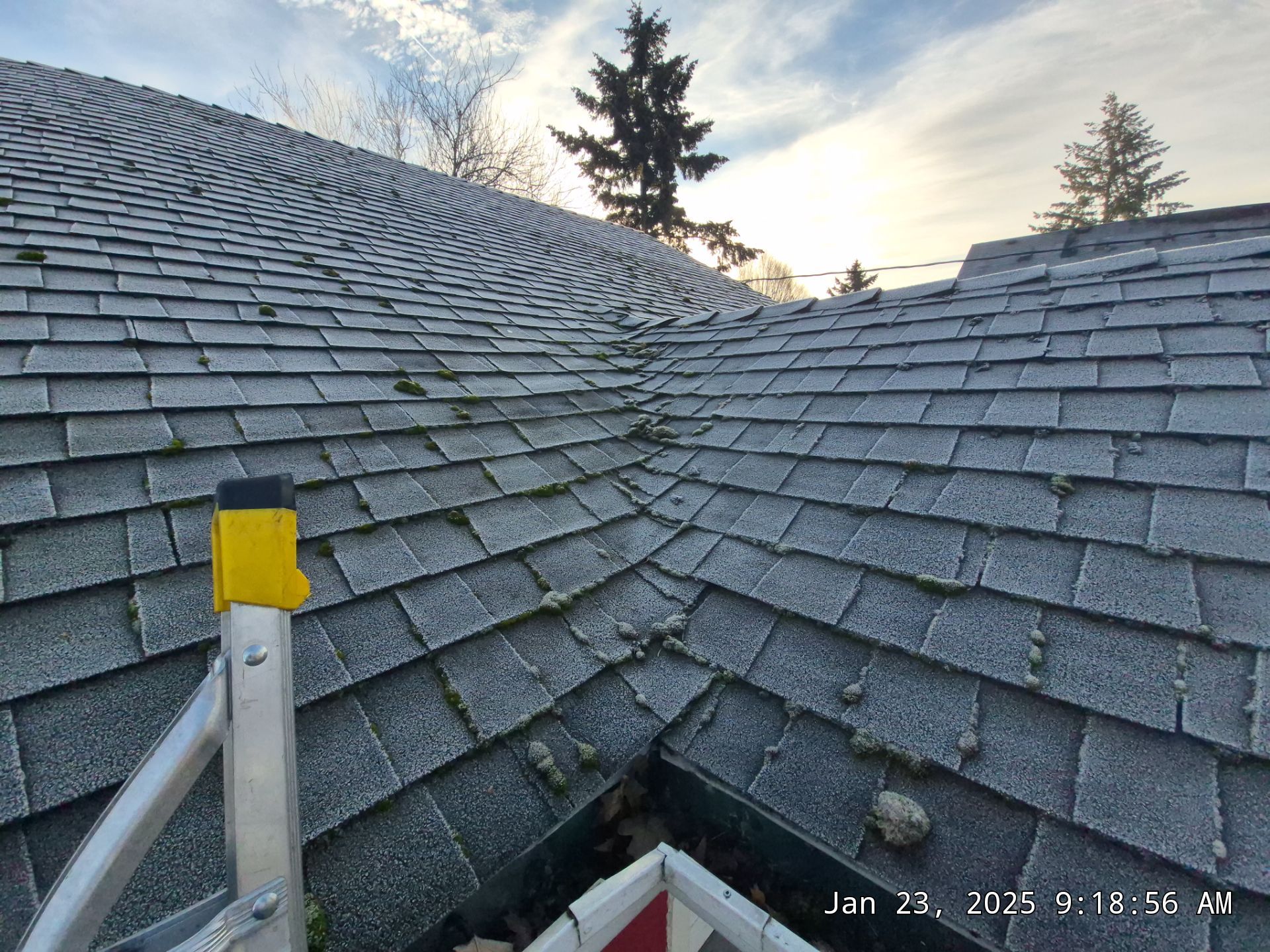 How to Clean Roof Shingles Without Damaging Them | IBEX Roof