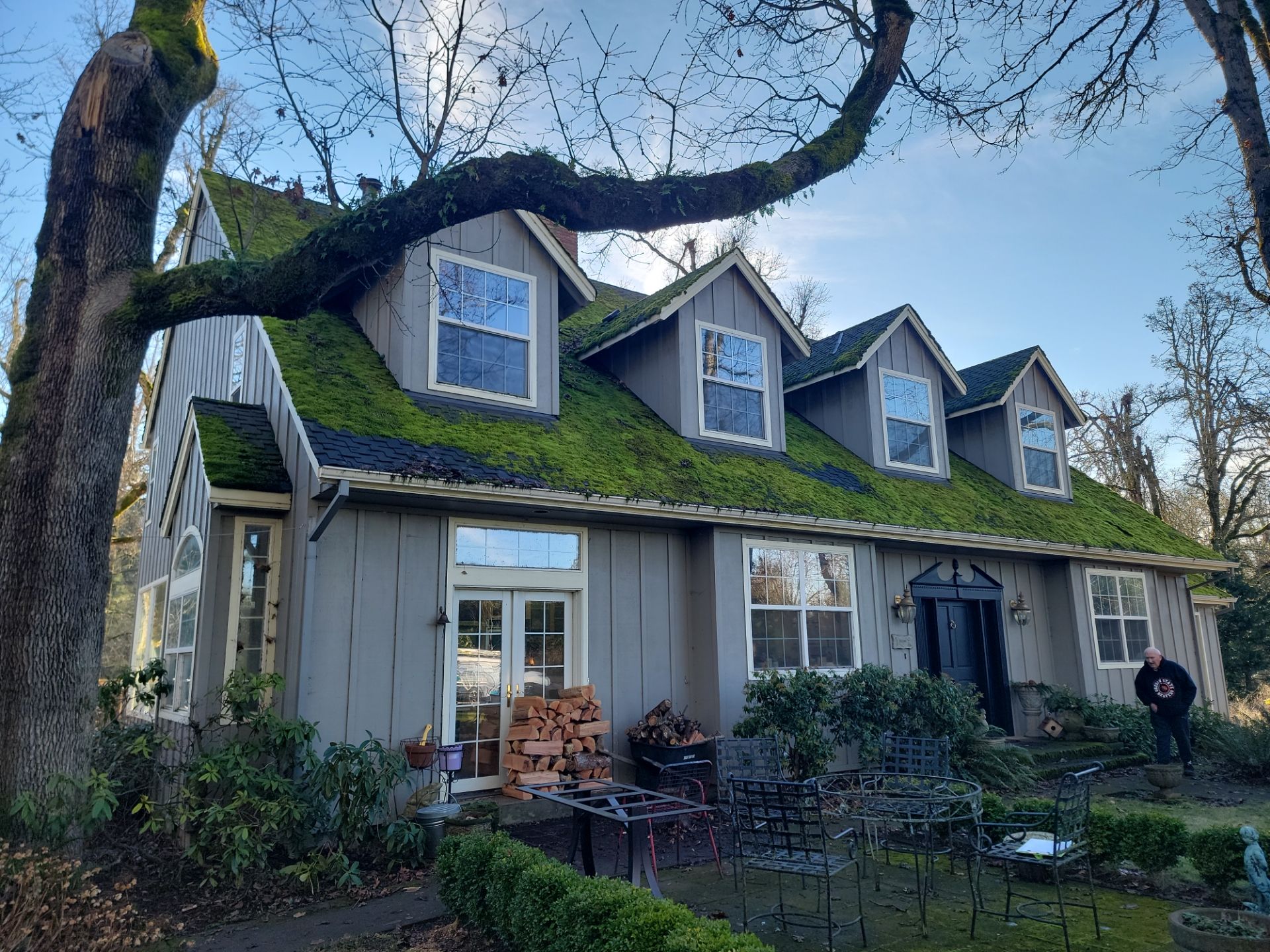 Roof Moss Removal Portland: Best Practices for Longevity