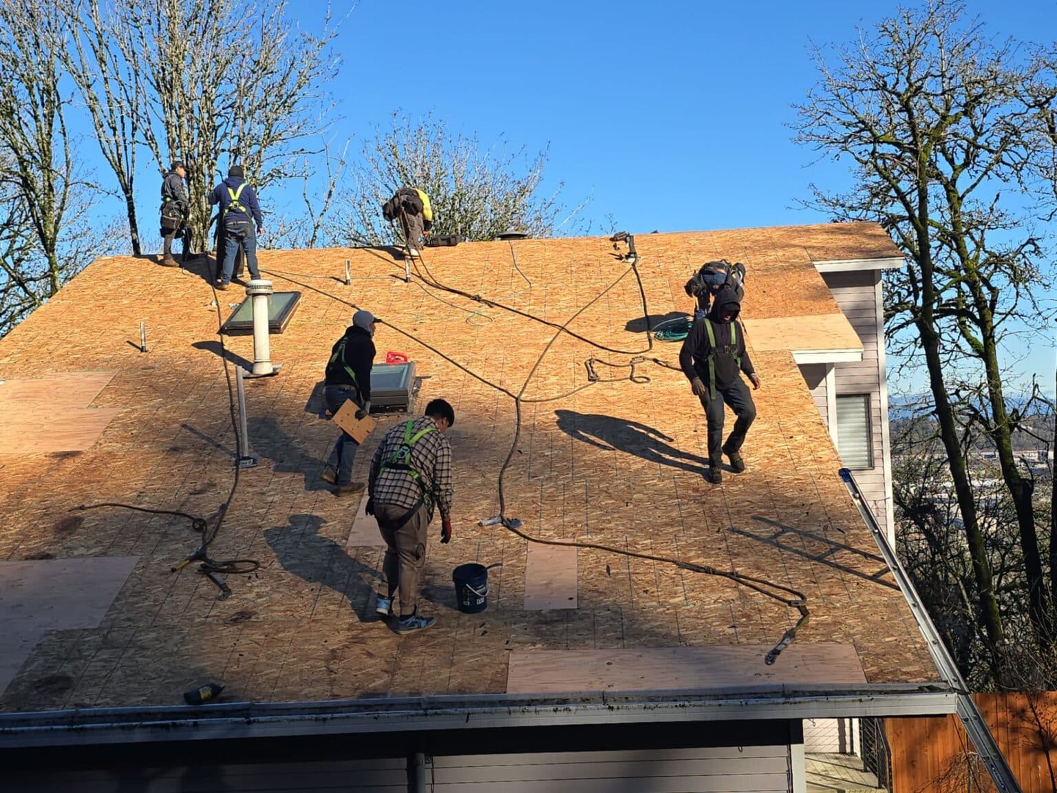 What Is Roof Sheathing? OSB vs. Plywood | IBEX Roof