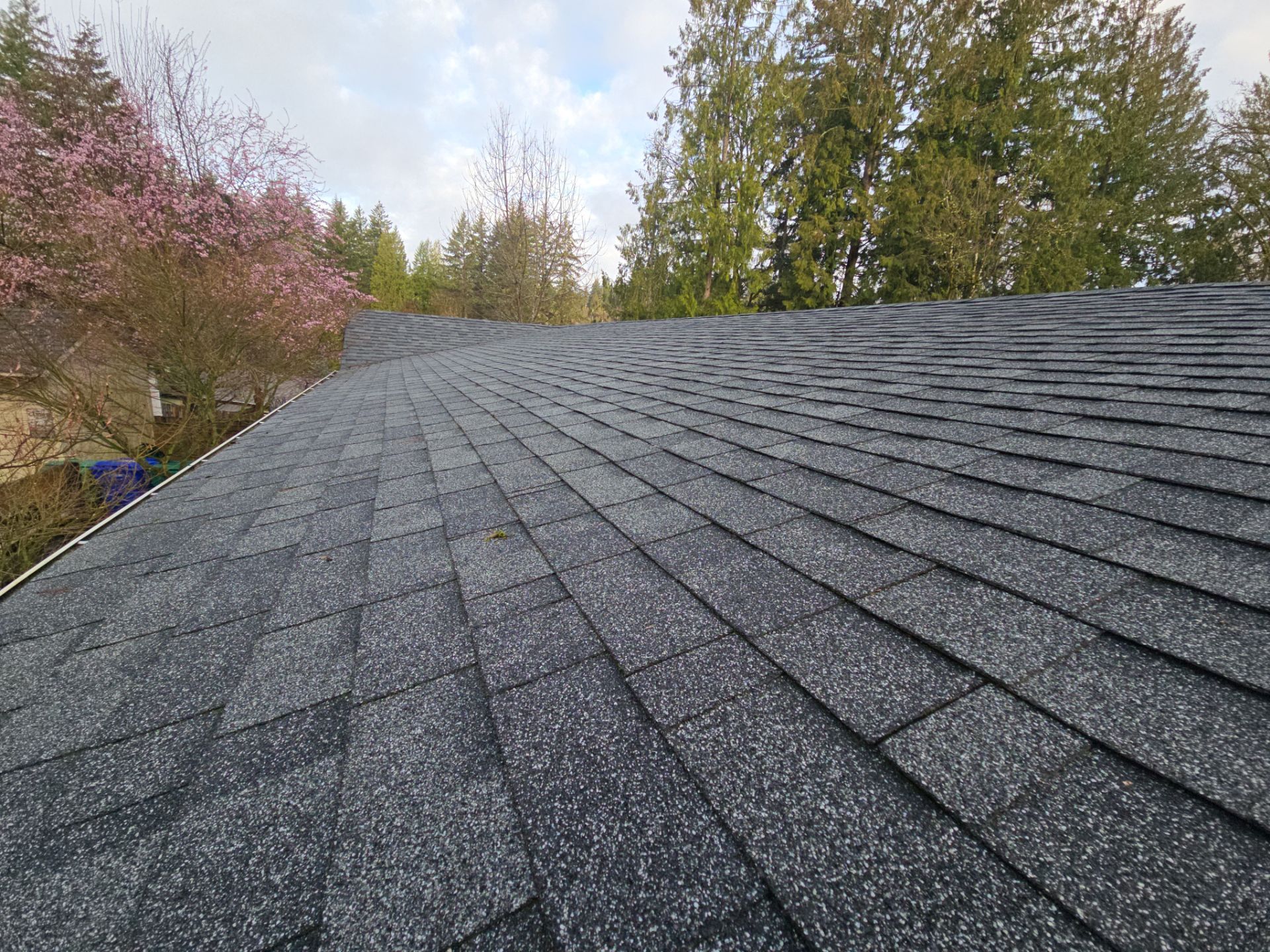What to Do If You Have Roof Storm Damage | IBEX Roof